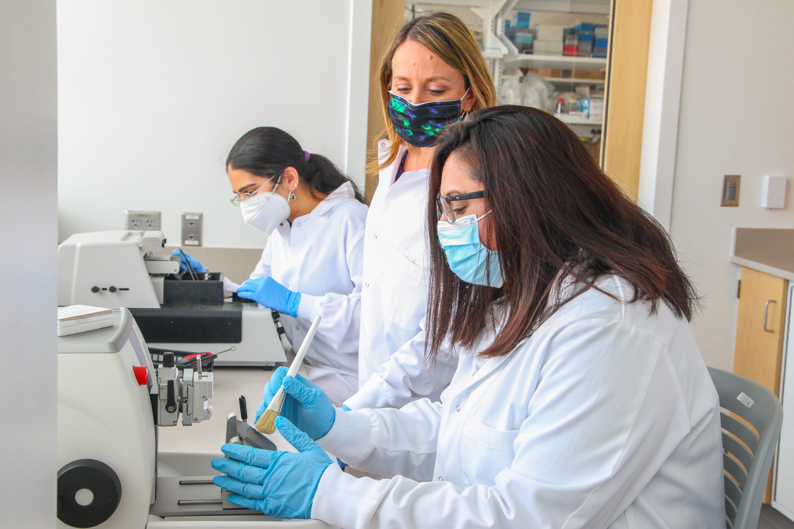 PhRMA Foundation Awards $1.9M in 2024 Drug Discovery and Delivery ...
