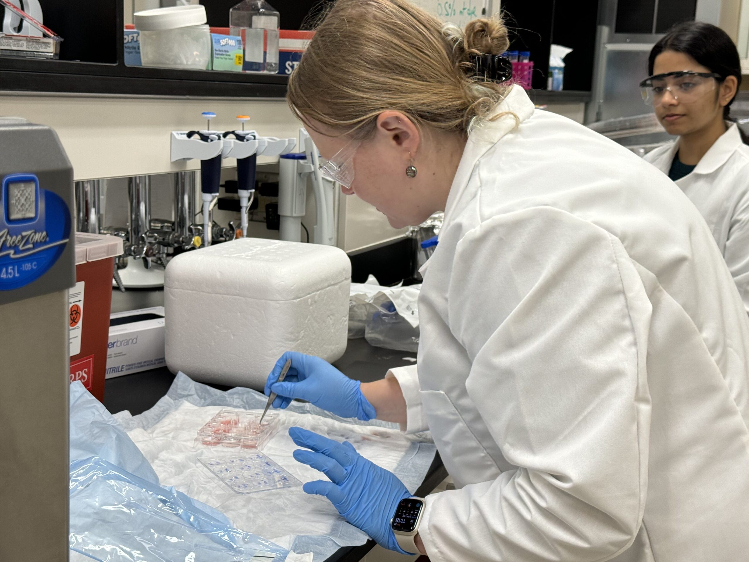 Q&A with Dr. Alexandra Piotrowski-Daspit: Tailoring Delivery of Gene Therapies to Lung Cells ...